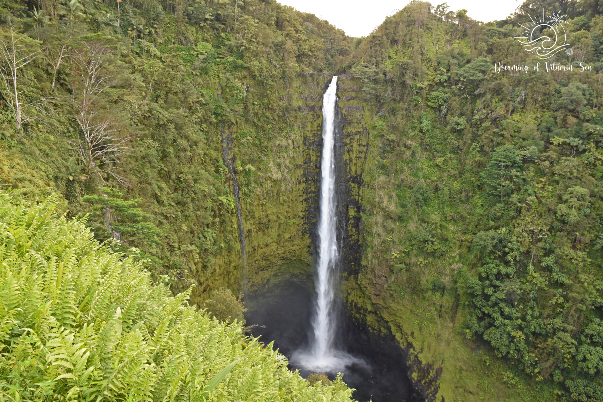 Travel Journal: Big Island - The Youngest Hawaiian Isle - Dreaming of ...